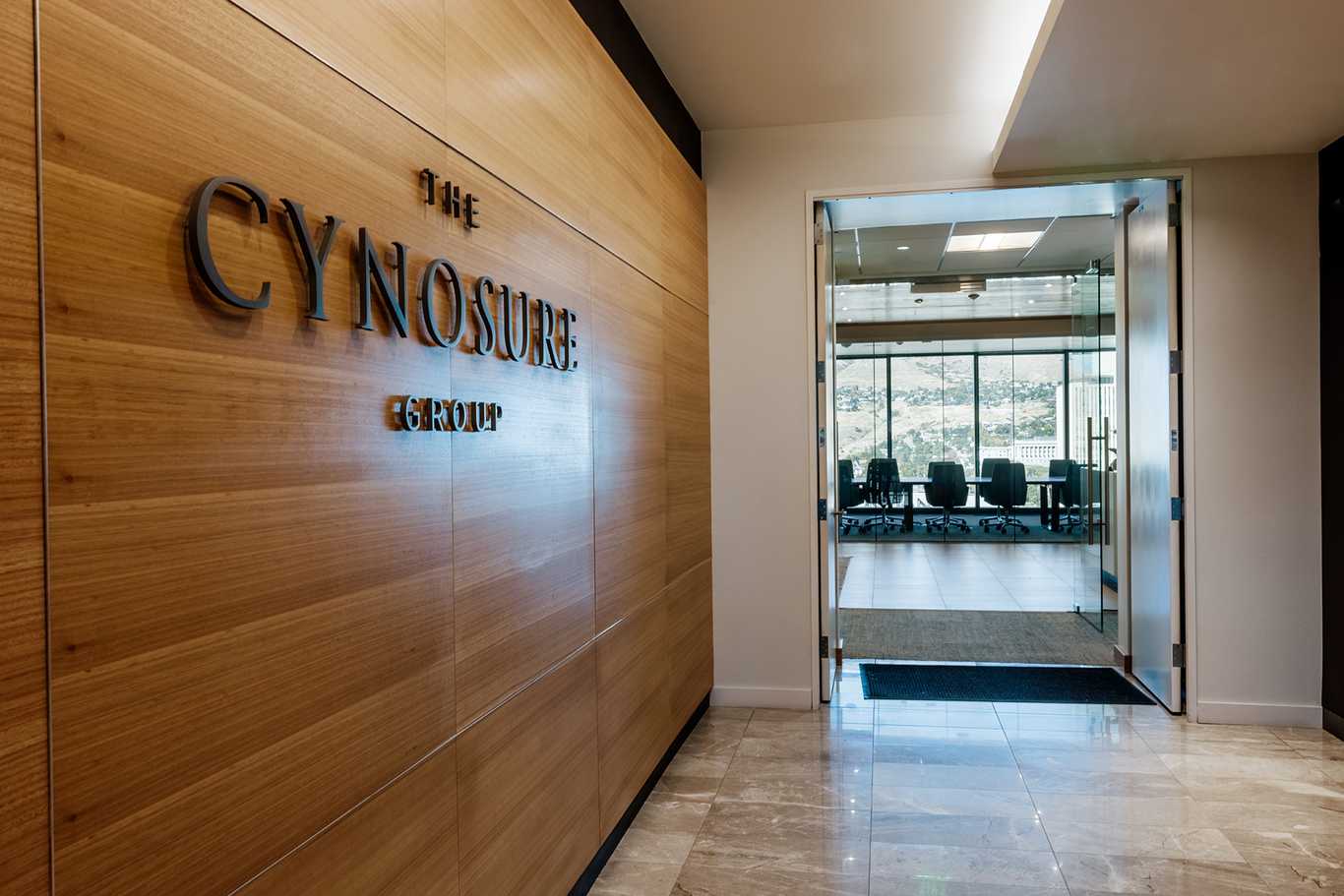 The Cynosure Group — The Cynosure Group